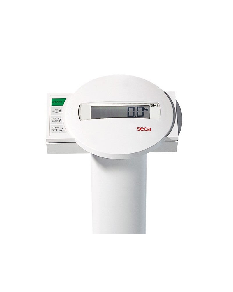 seca 769 digital column scale with BMI function