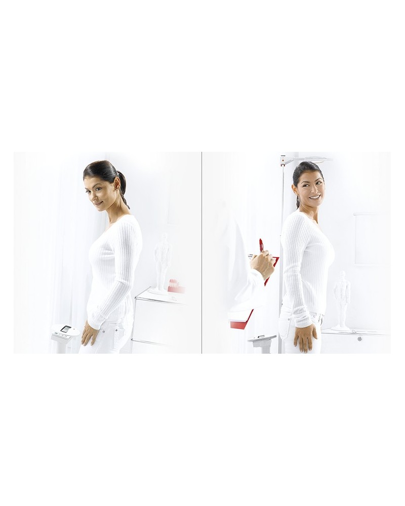 seca 799 Electronic column scale with BMI function